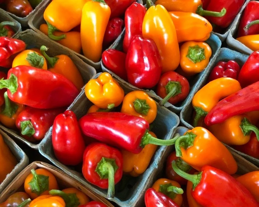 Products — Fieldstone Garden