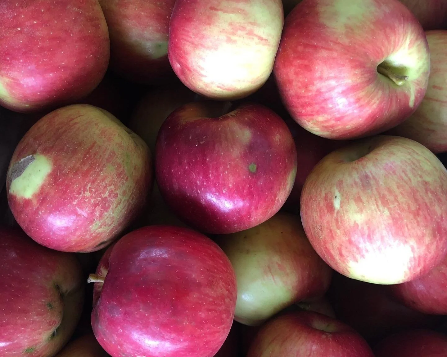 Products — Fieldstone Garden