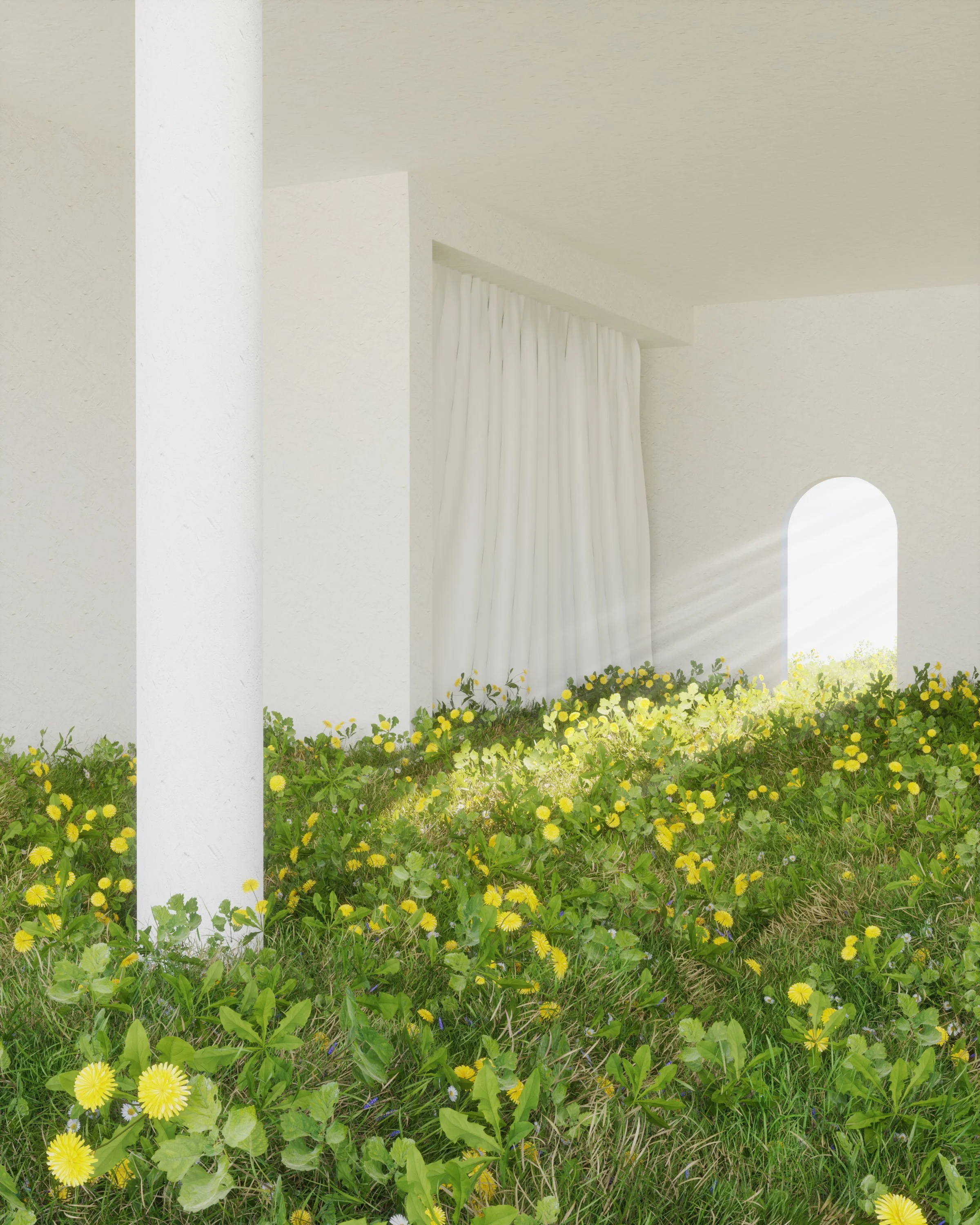 Stills — CarrotwithaK