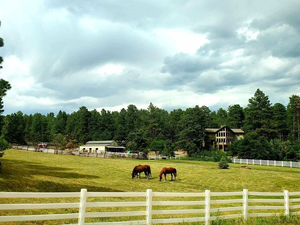Events and Clinics — Elite Equine Rescue