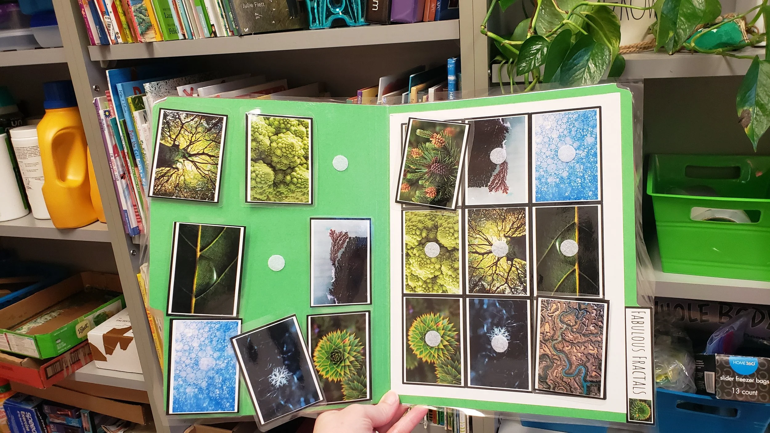 Store 2 — The Neurodivergent Teacher