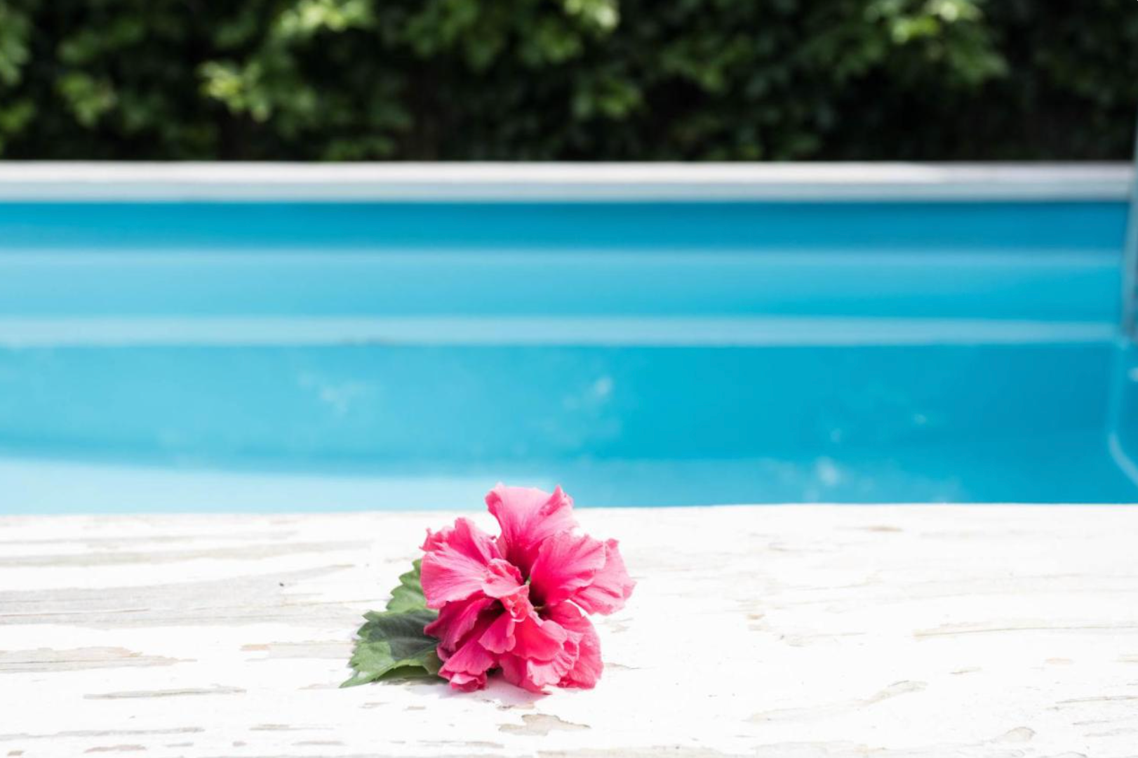 Mango Cottage — Rarotonga Tropical Holidays