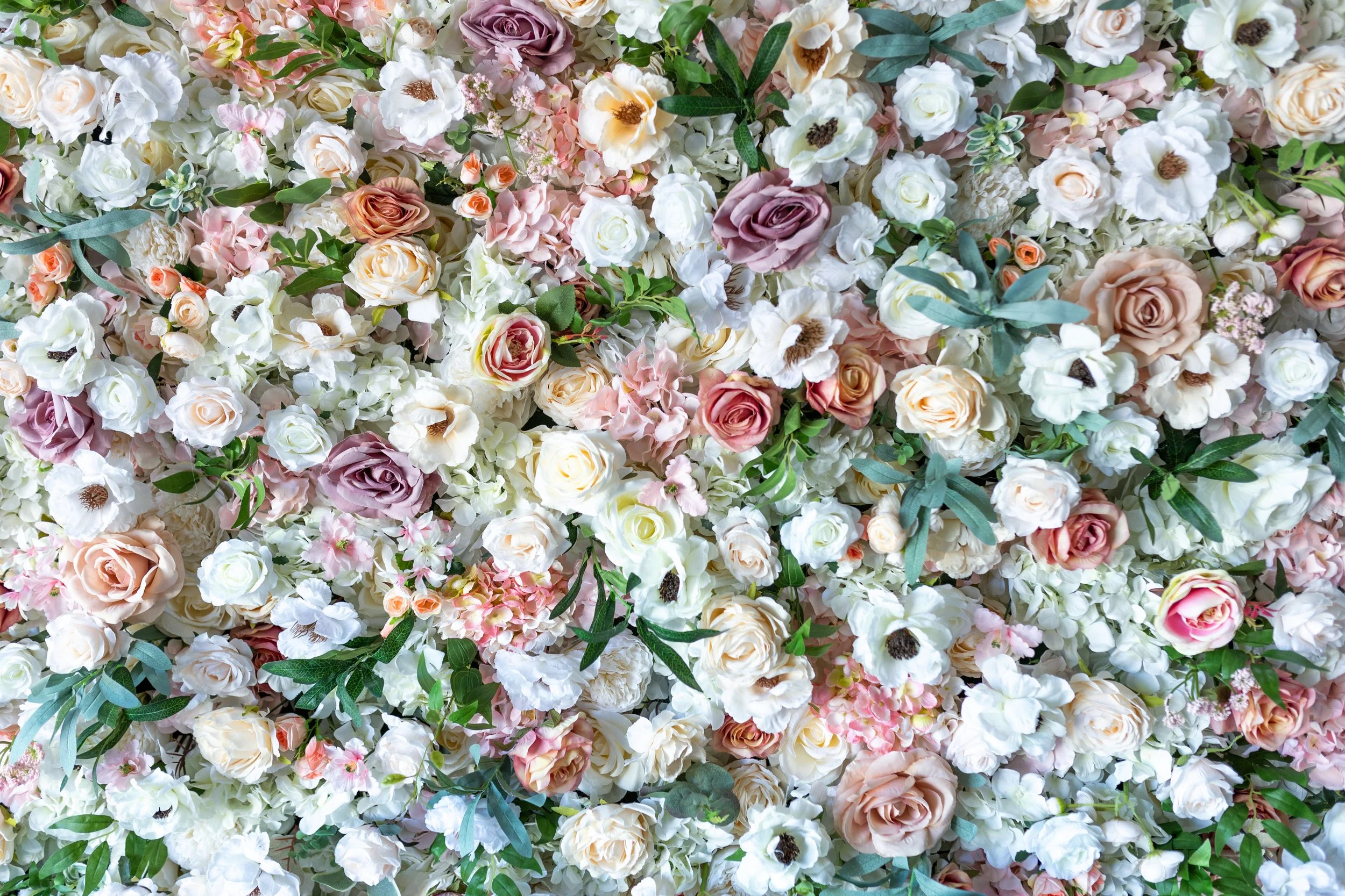 Our Walls — Albuquerque Floral Wall Rental