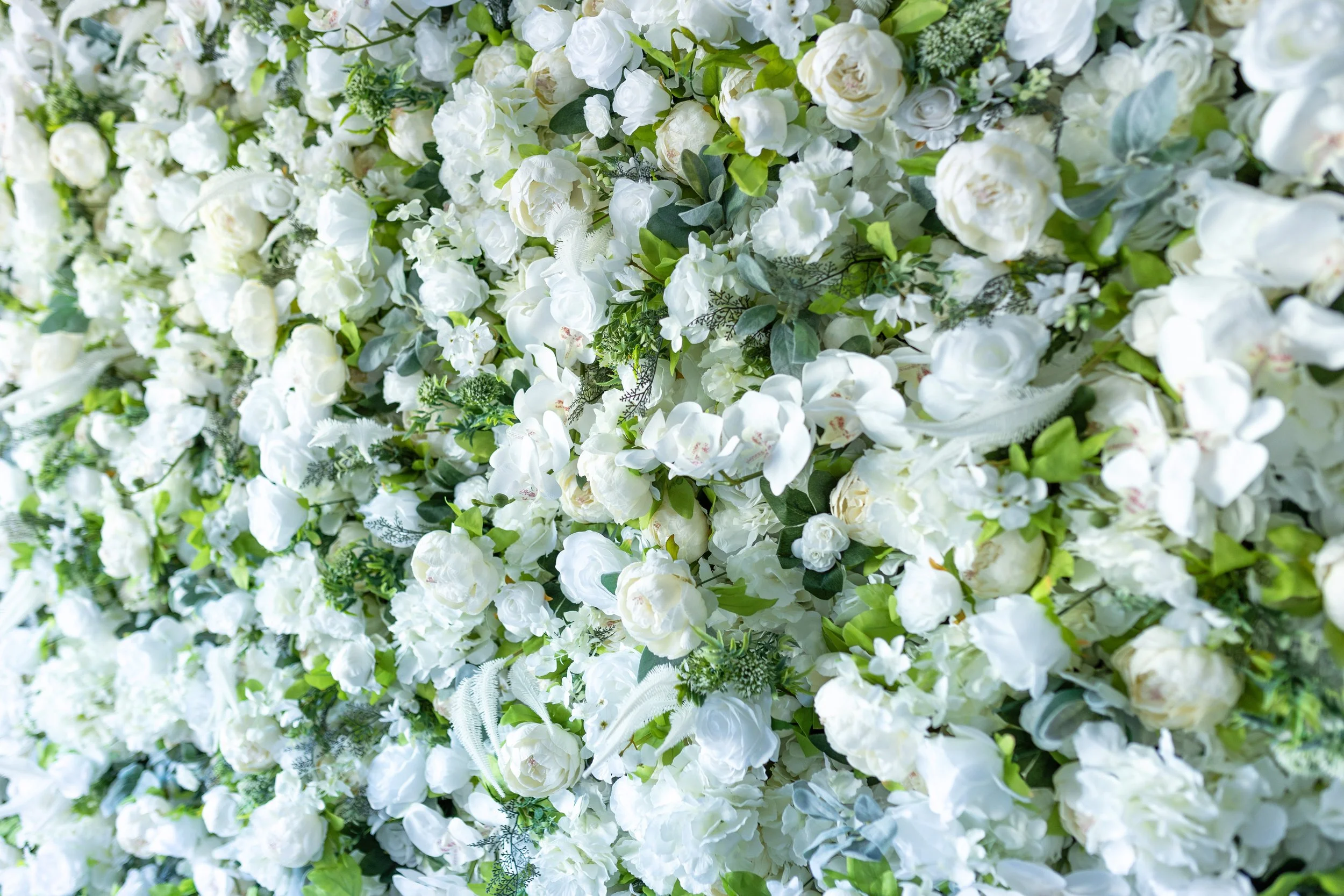 Our Walls — Albuquerque Floral Wall Rental