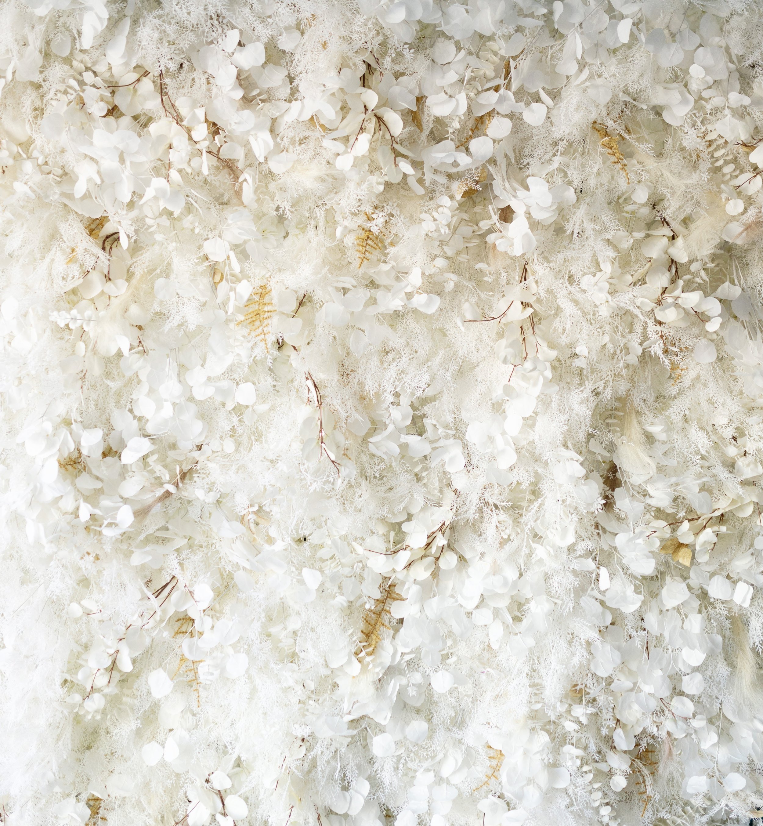 Our Walls — Albuquerque Floral Wall Rental