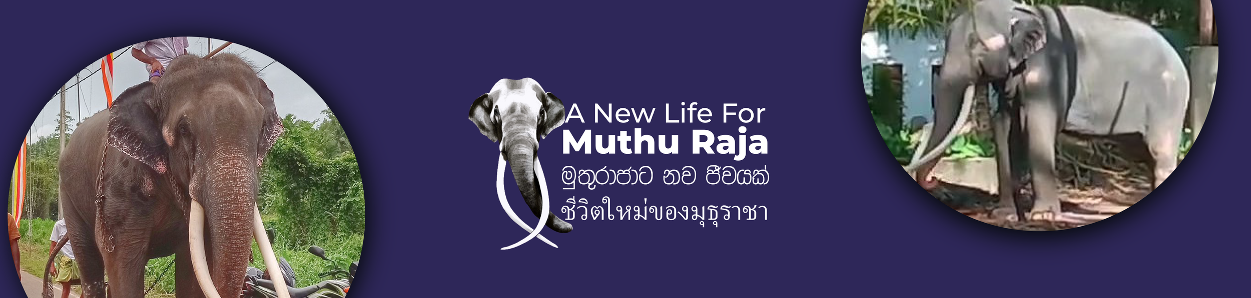 MUTHU RAJA CAMPAIGN — RARE Rally for Animal Rights and Environment