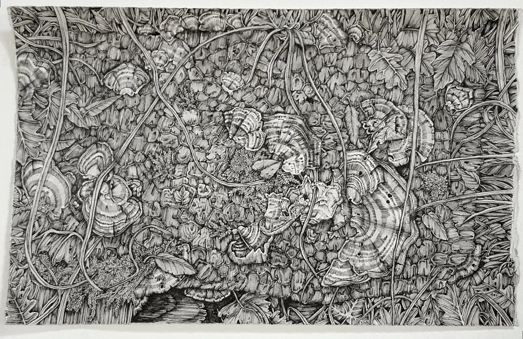 SCRAP HEAP SERIES — OLIVIA KEMP