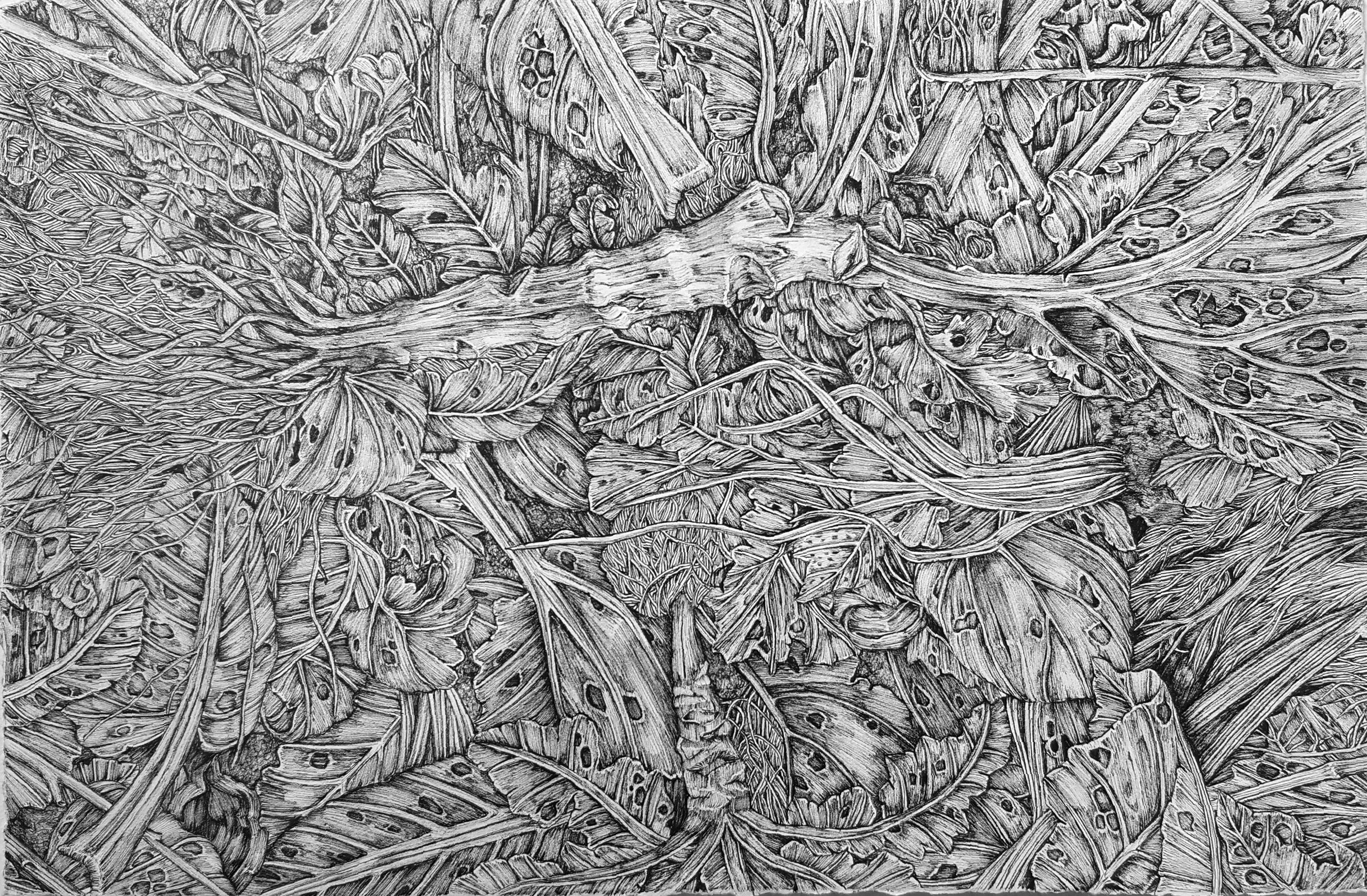 SCRAP HEAP SERIES — OLIVIA KEMP