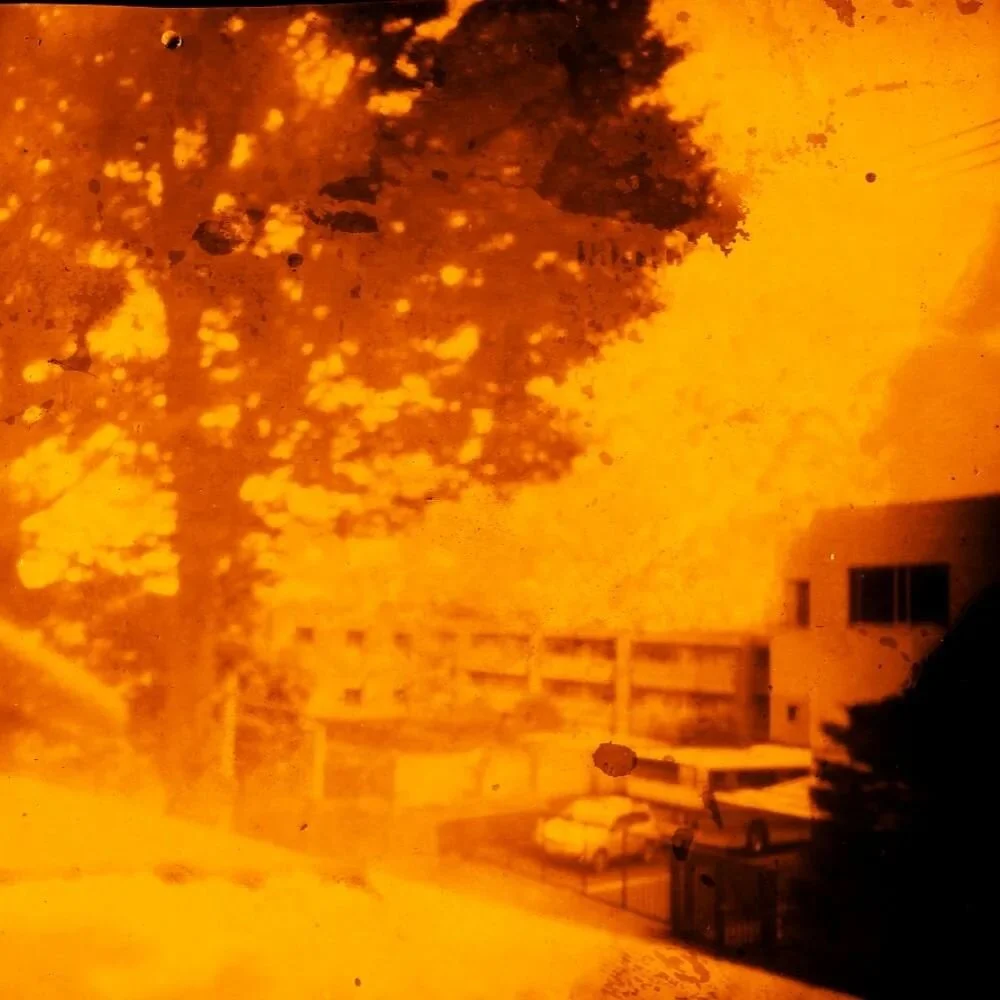 Jolan Martinez - IBDP Design Technology Resources