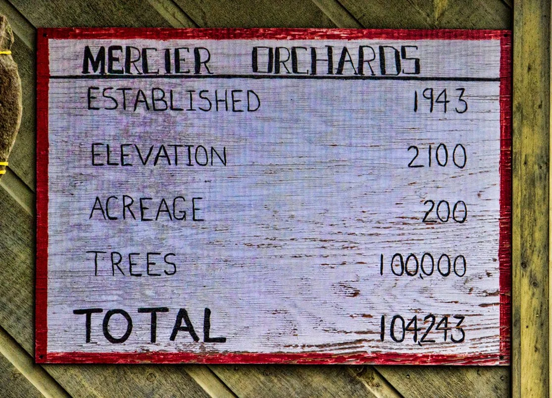 Visit Mercier Orchards in Blue Ridge, GA