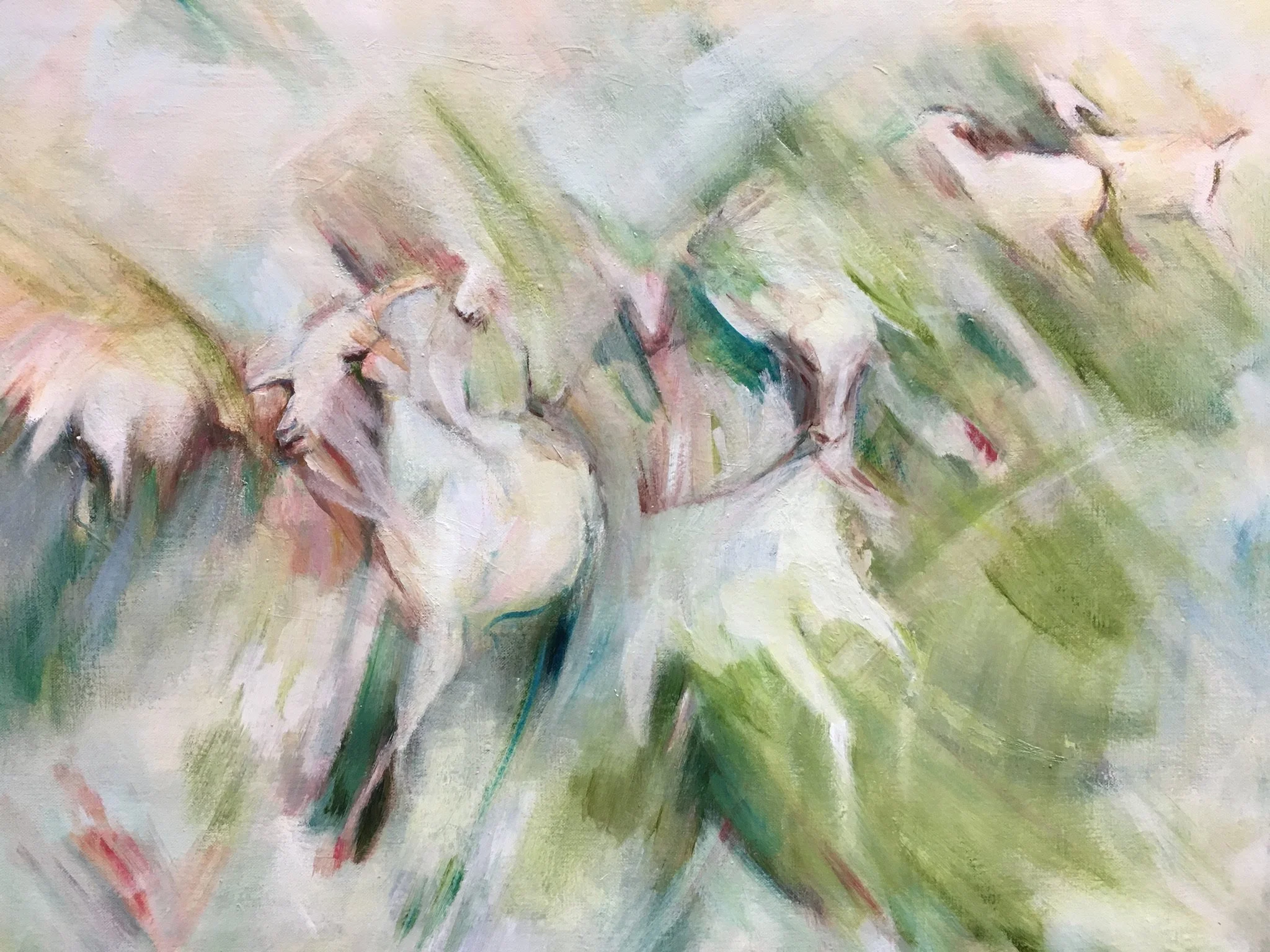 Shop — Jules Kunhardt