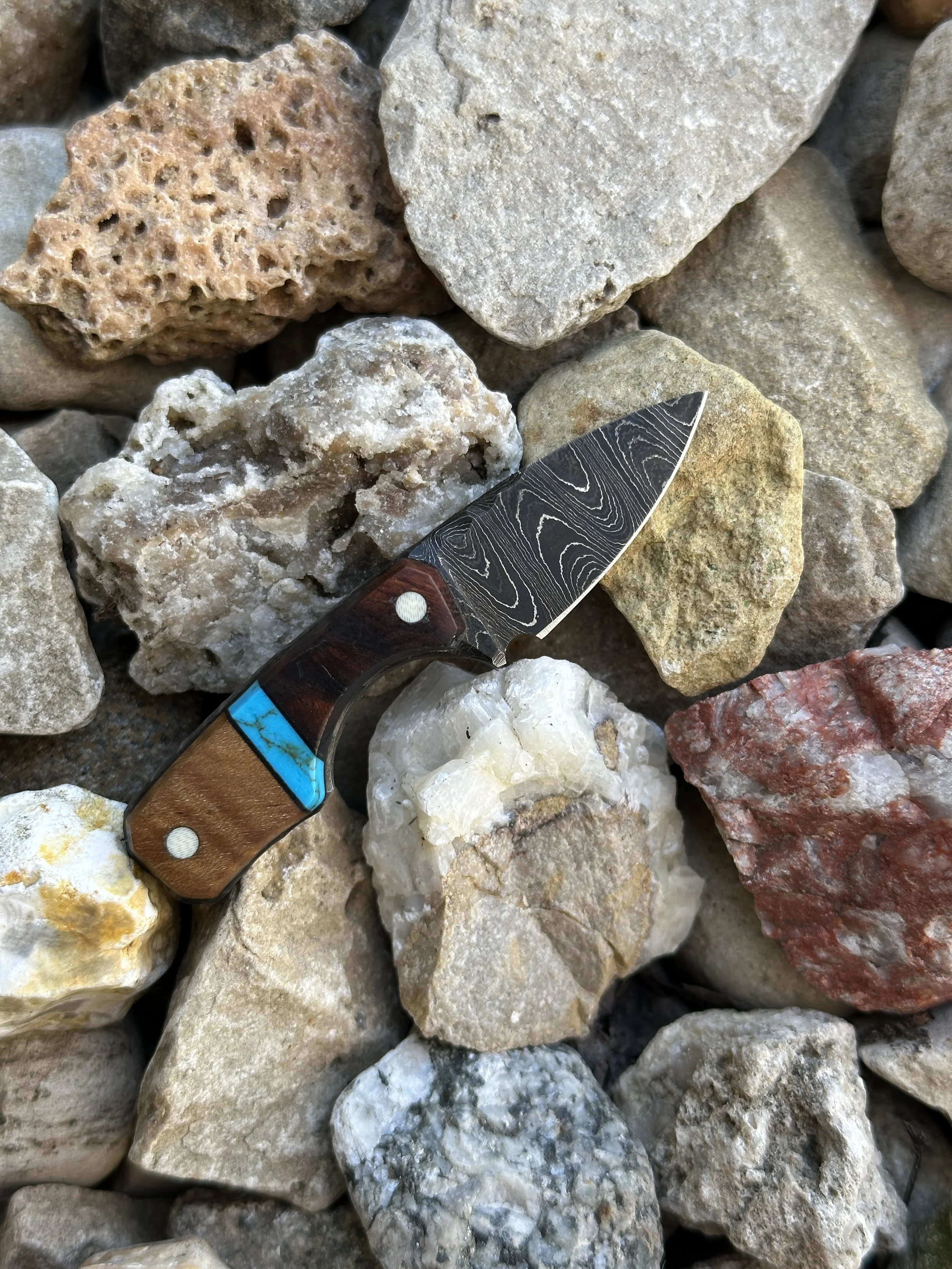 Lex Rex Custom Knives