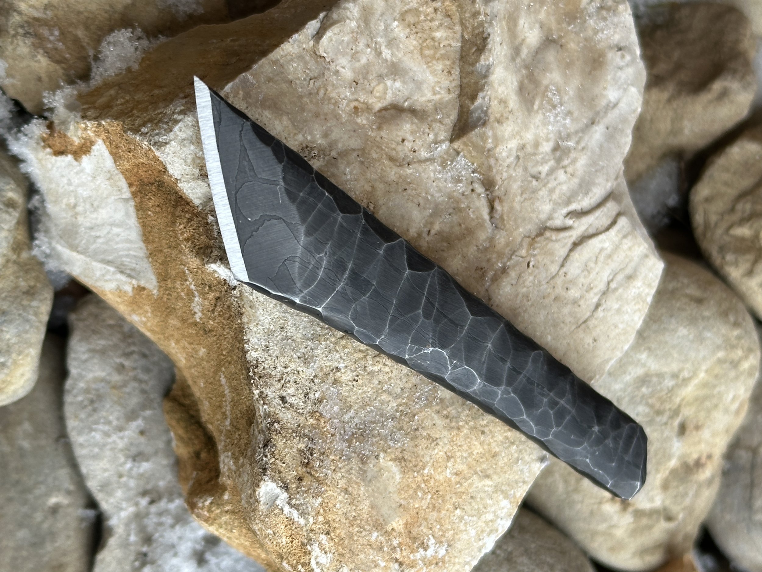 Lex Rex Custom Knives