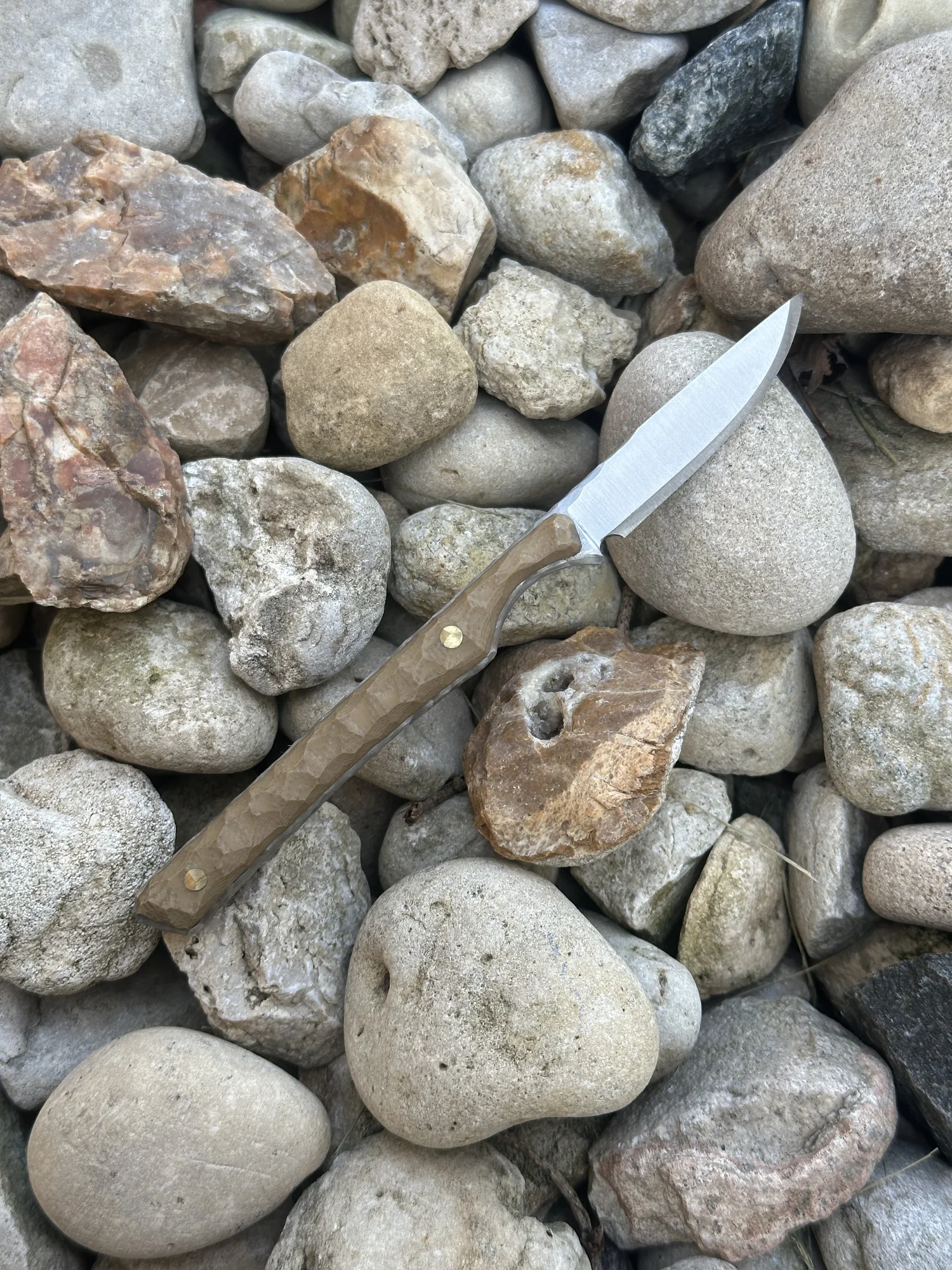 Lex Rex Custom Knives