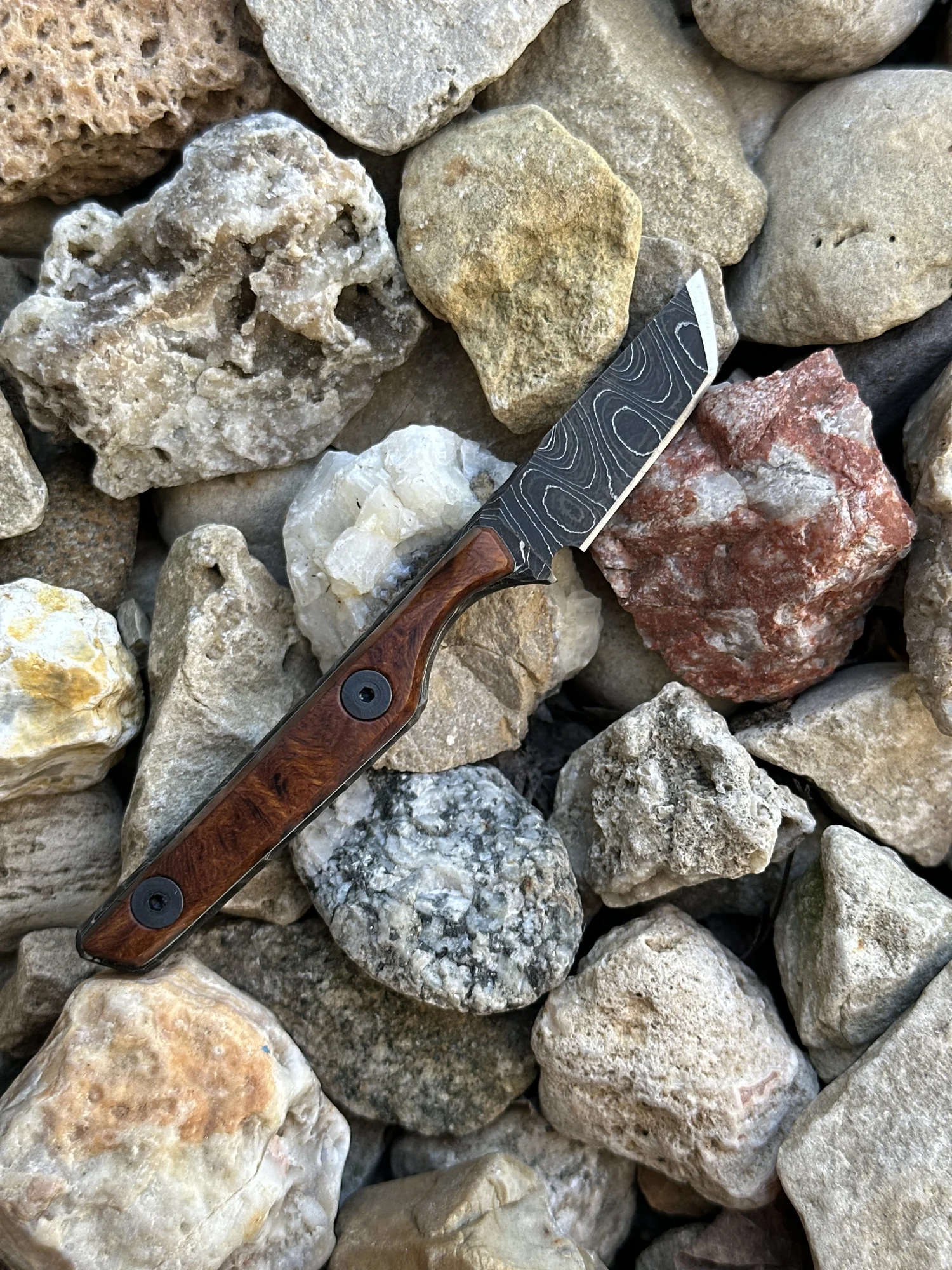 Lex Rex Custom Knives