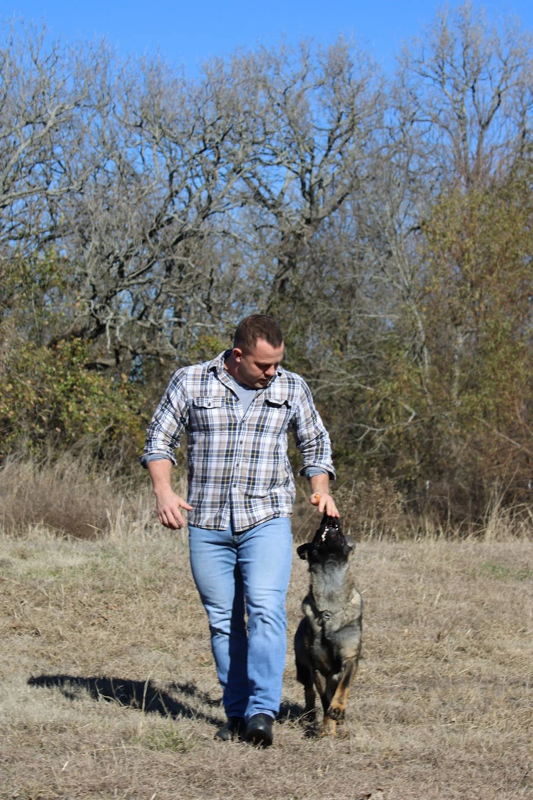 Canis Ferox - Texas's Elite German Sheperds