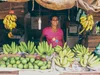 Sri Lankan Food & Cuisine — Sri Lanka with Luba