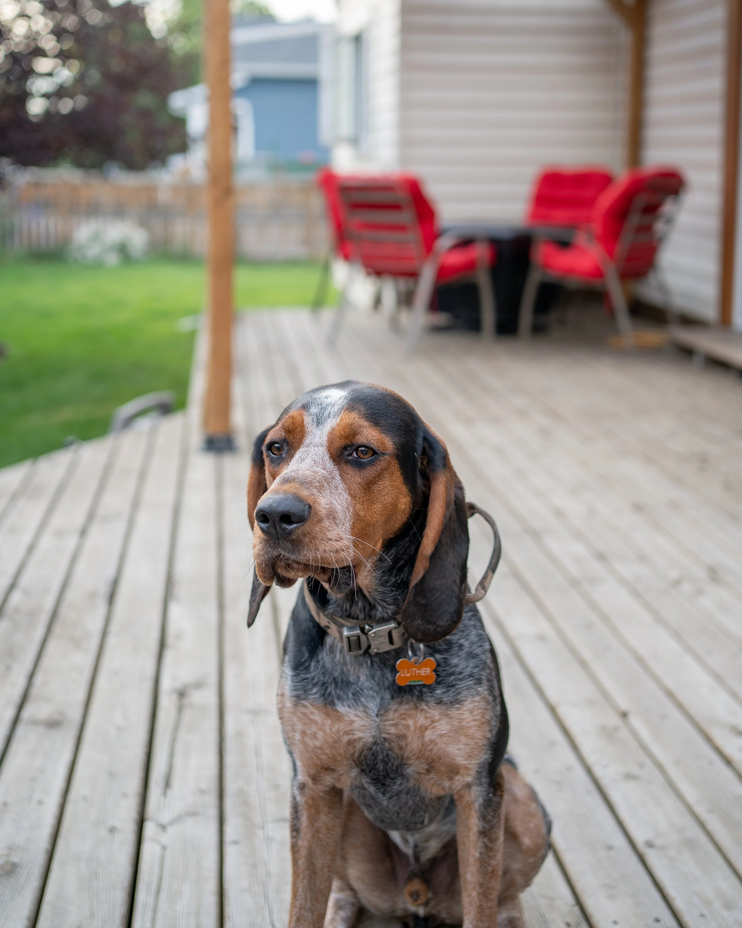 The Lochlainn House | Gallery — The Lochlainn House - Sylvan Lake ...
