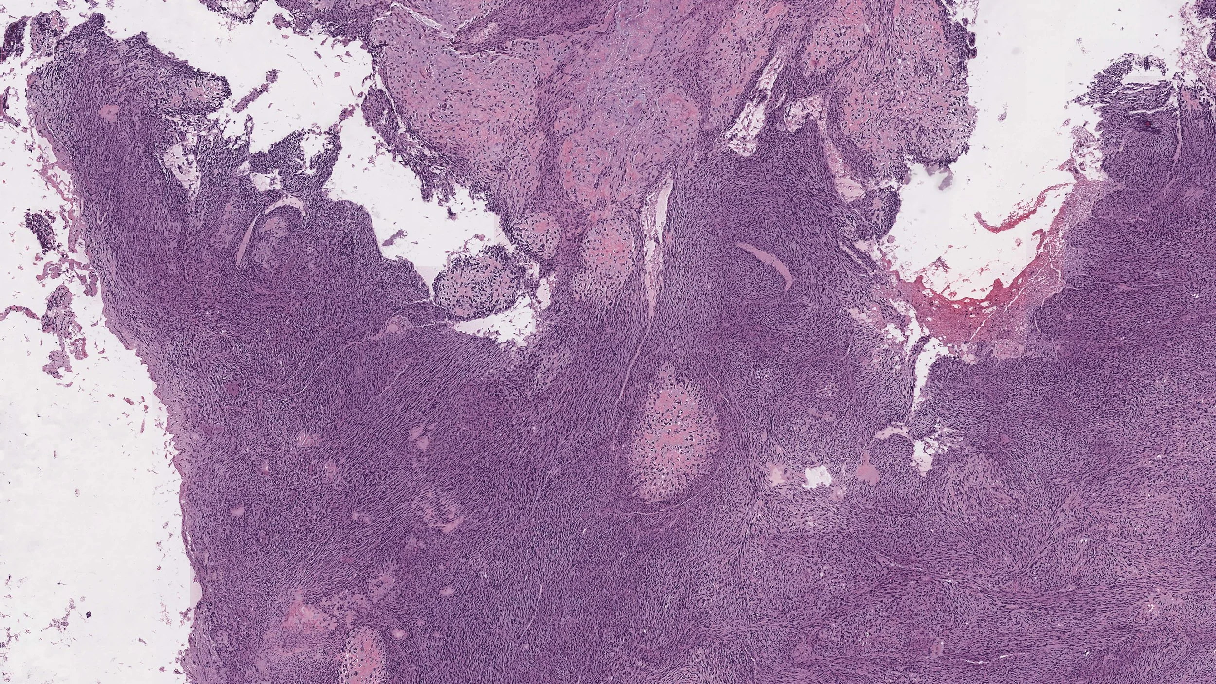 Samuel Davis Imaging