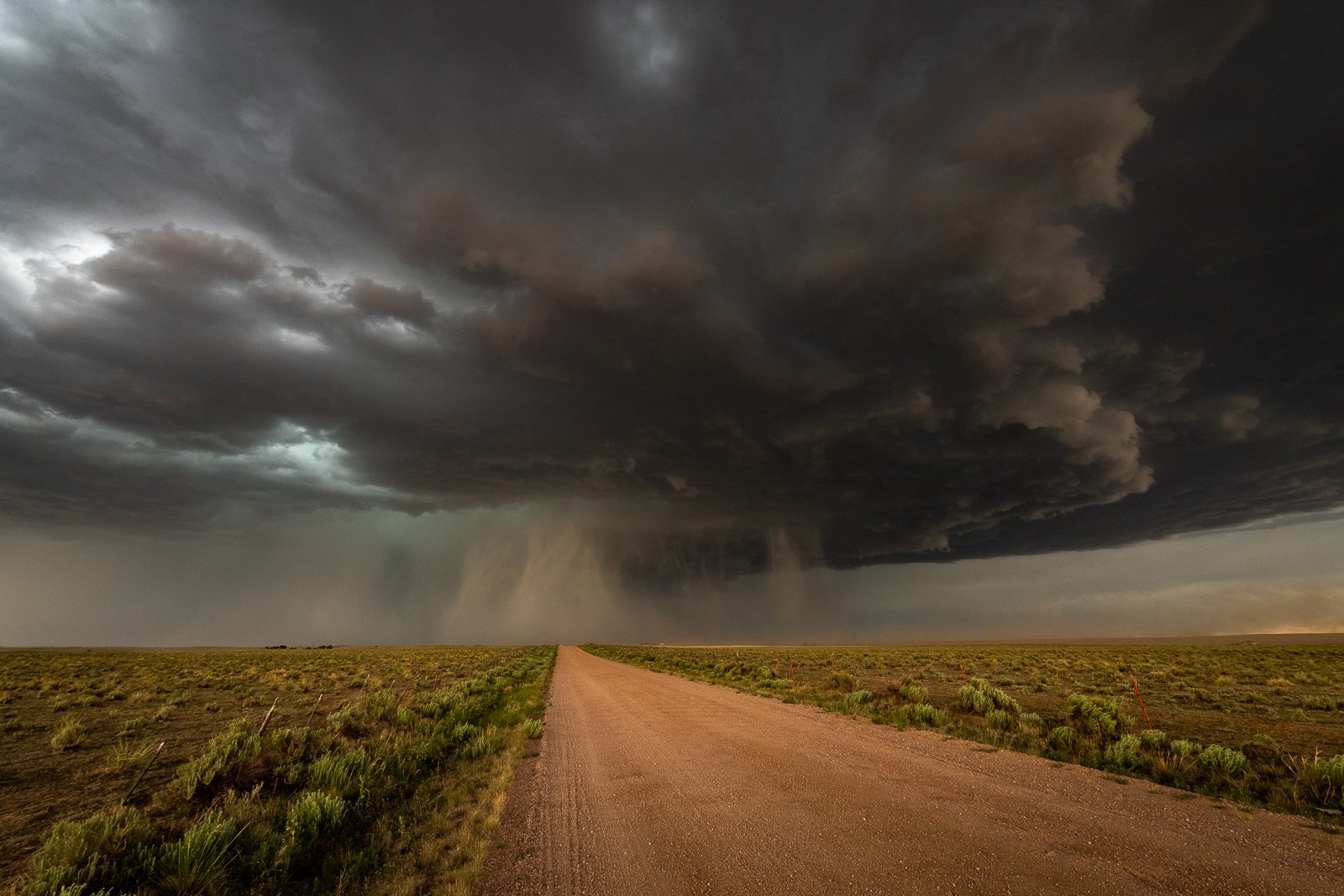 Alastair Poll Photography