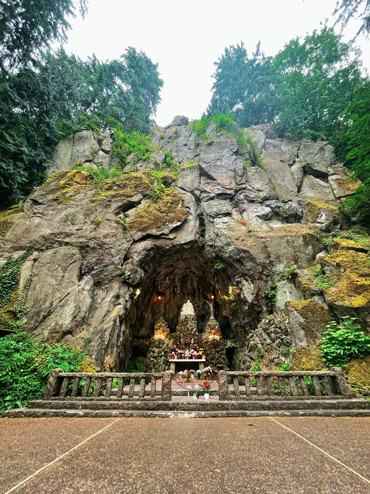 pacific wonderland — trails and tarragon
