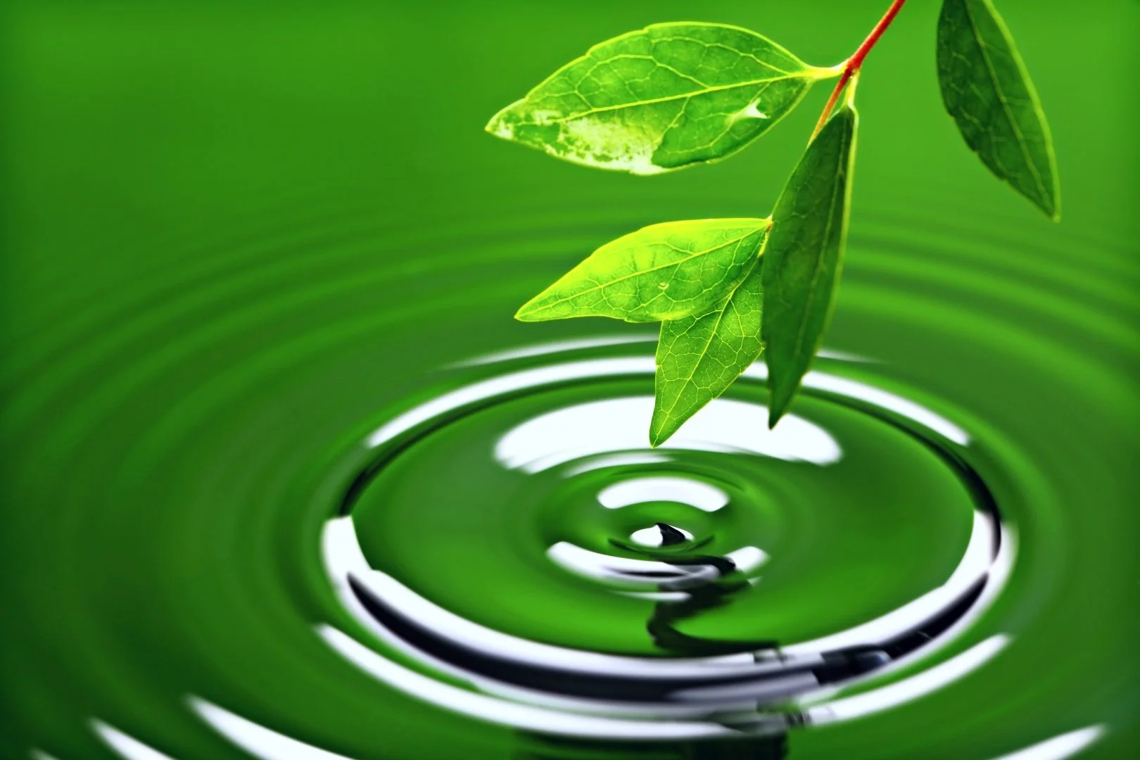 Register Now Join The Ripple Revolution 