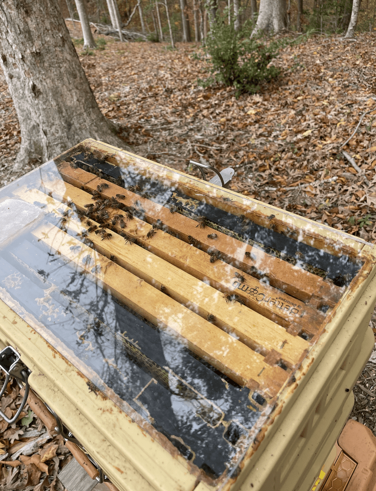 Winter Bee Hive Insulation Wraps & Crowns For Sale – Hive Hugger