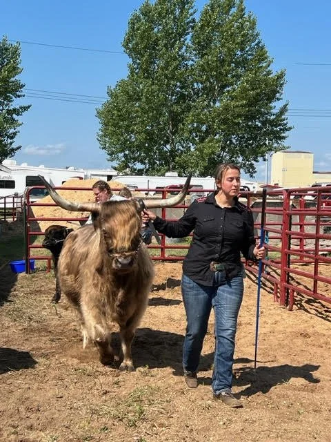 2022 The Yooper Classic — Midwest Highland Cattle Association