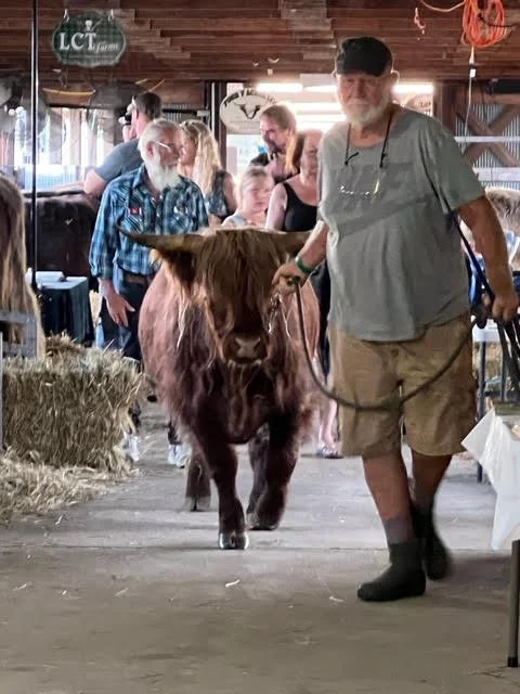 2022 The Yooper Classic — Midwest Highland Cattle Association