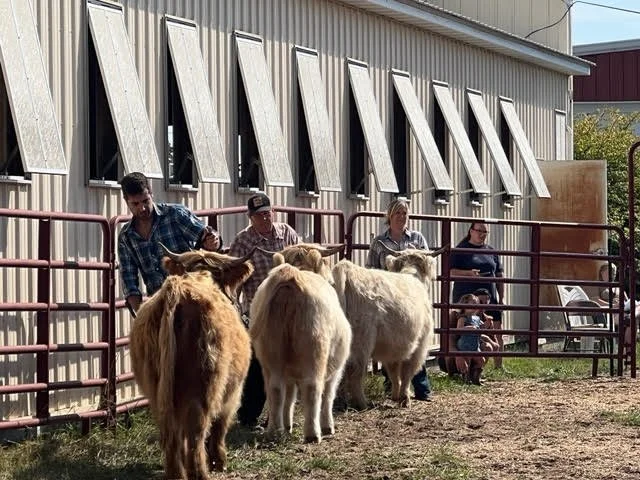 2023 Yooper Classic Results — Midwest Highland Cattle Association