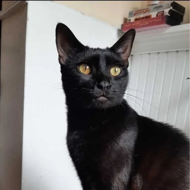 Our Team — 6 Degrees PR