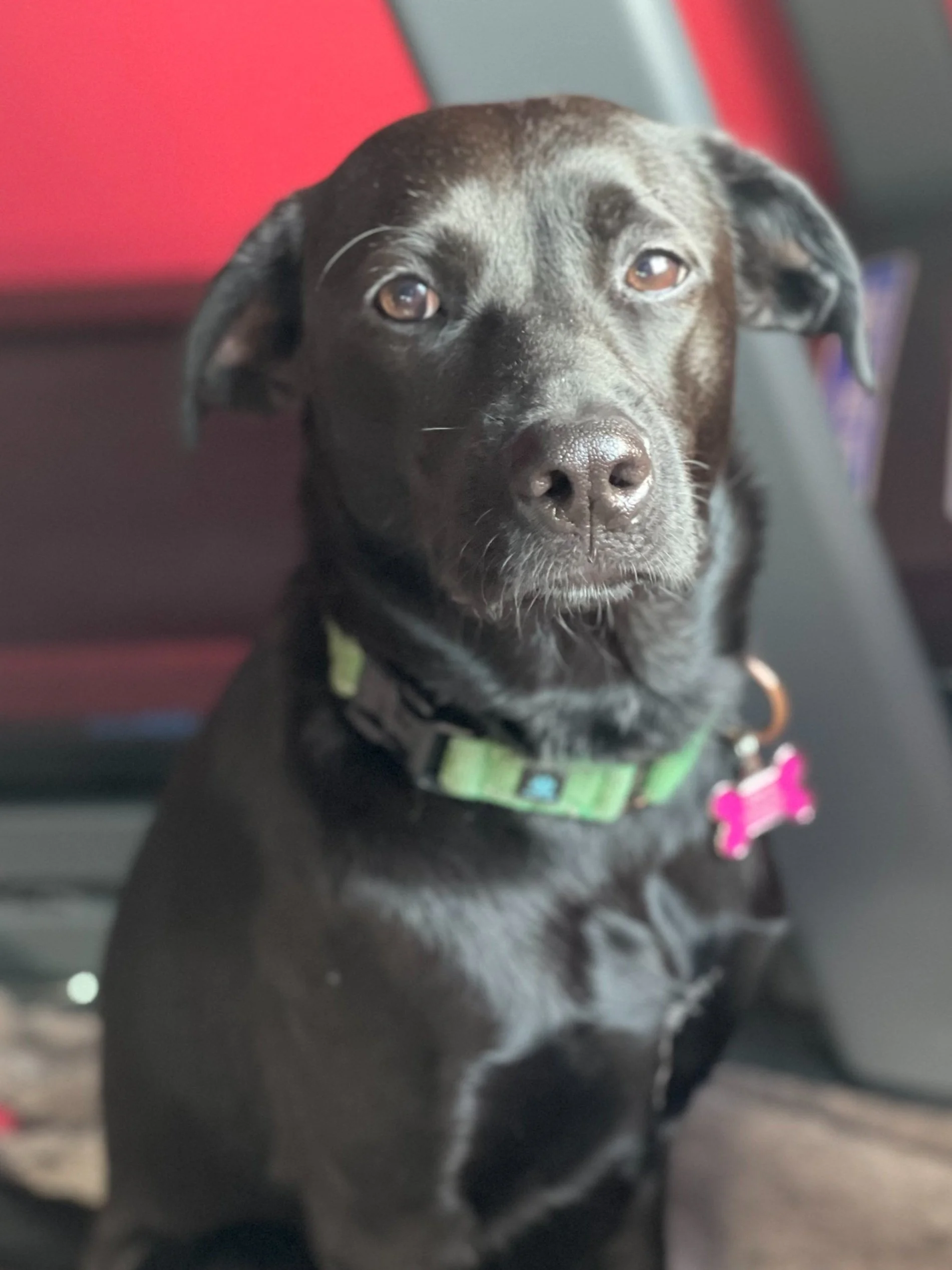 Our Team — 6 Degrees PR