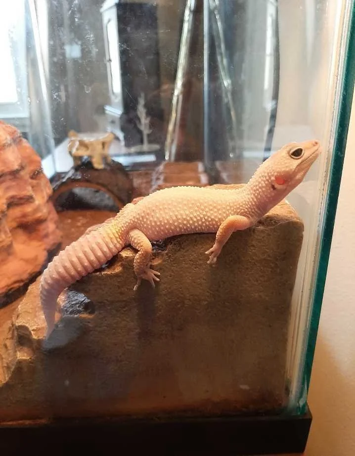 Our Team — 6 Degrees PR