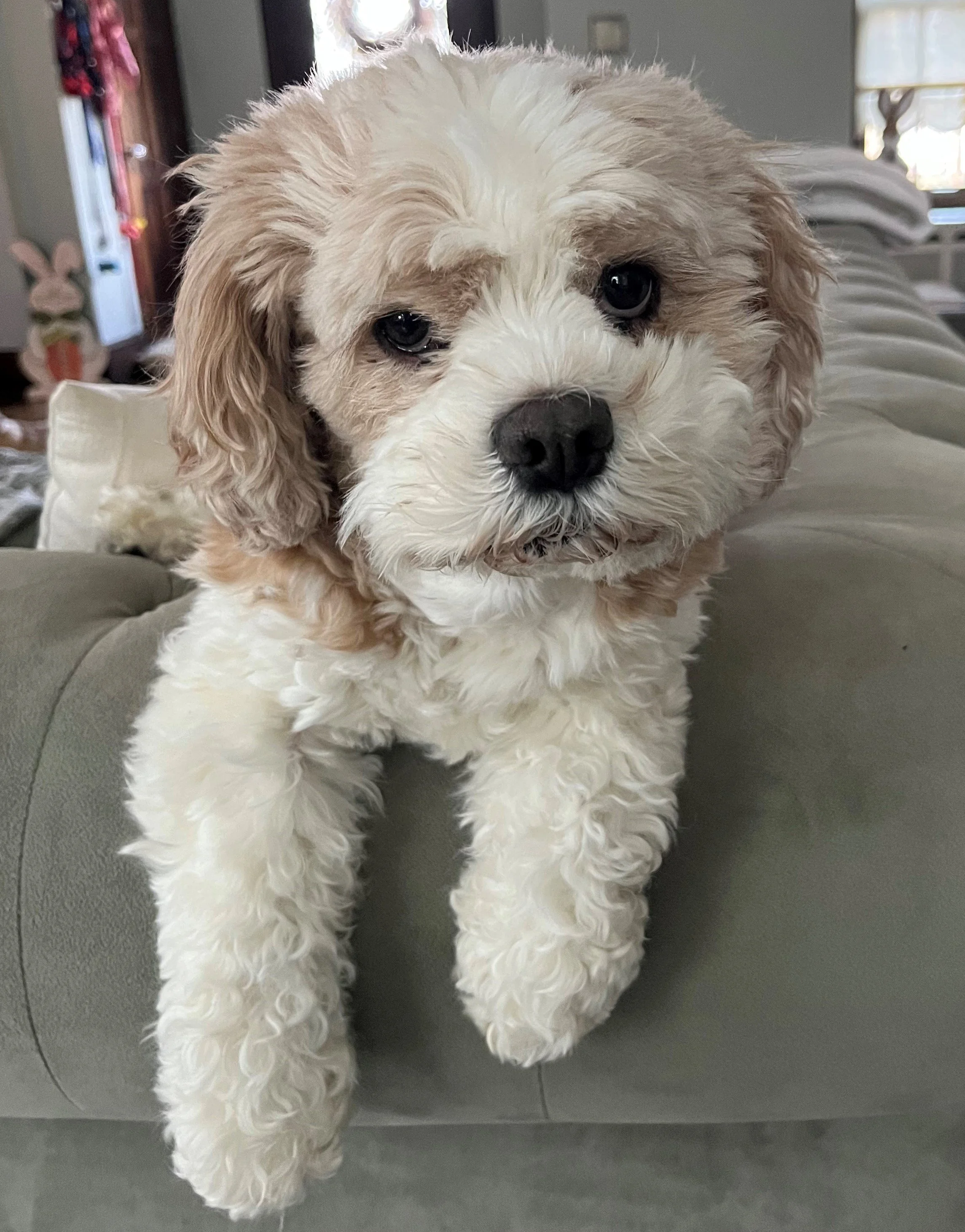 Our Team — 6 Degrees PR