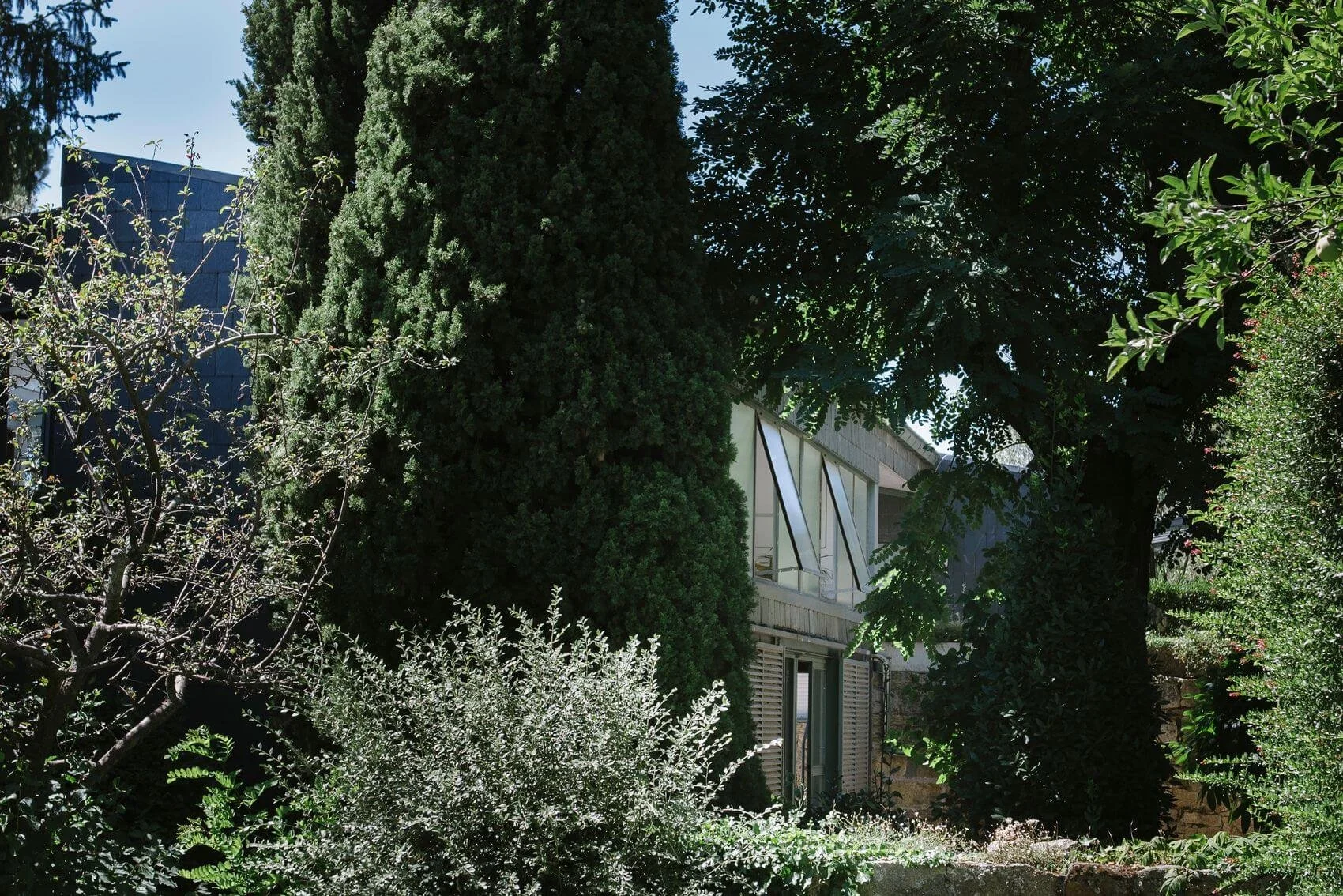 Invernadero bioclimático en un espacio de trabajo — Minima.bio
