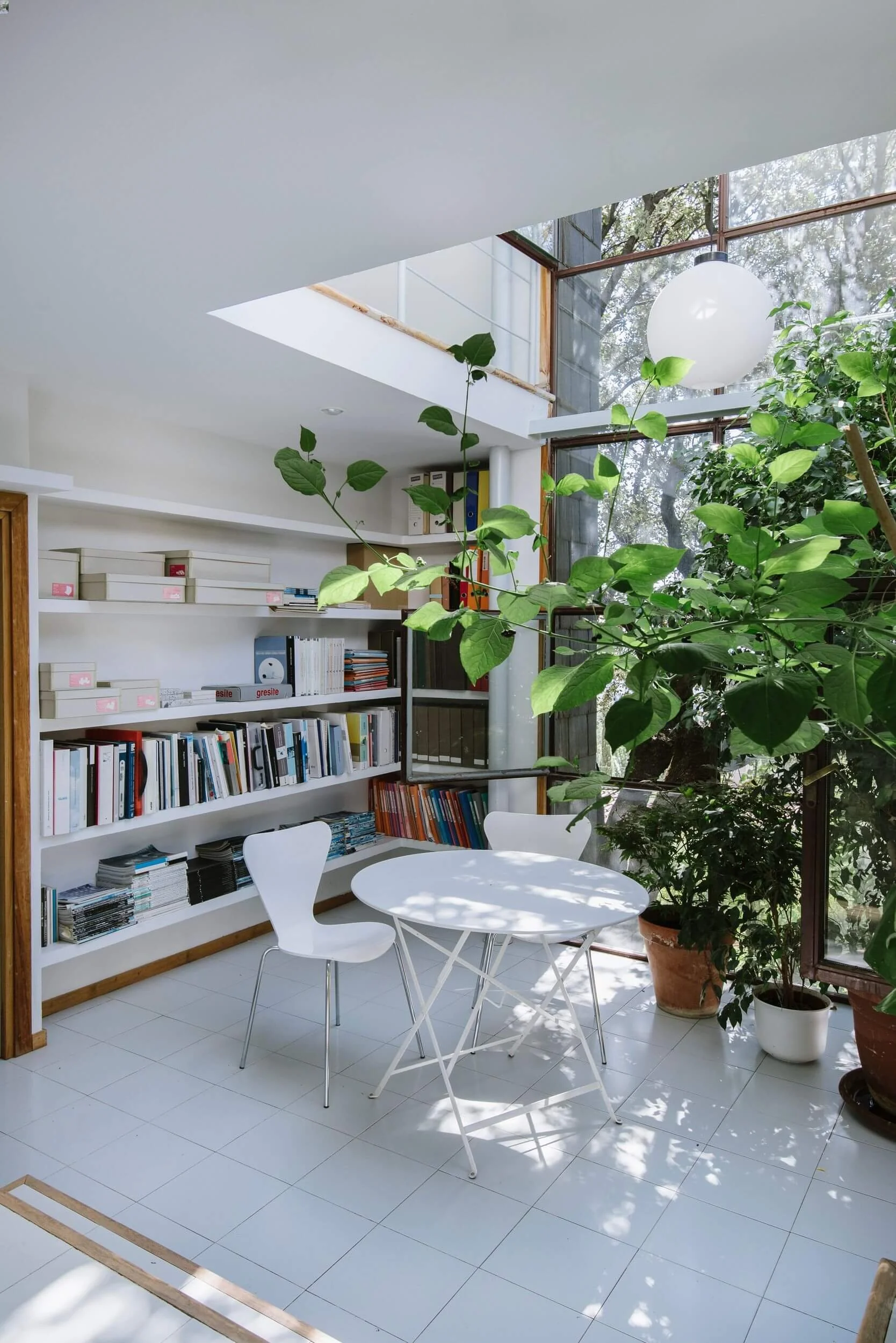 Invernadero bioclimático en un espacio de trabajo — Minima.bio