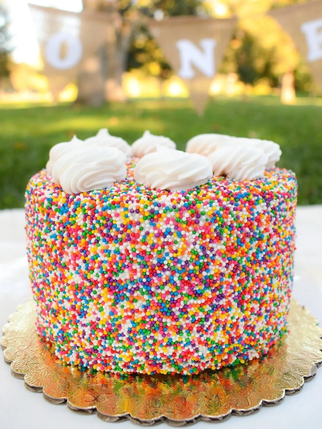 Cake Smash Portraits — Racquel Cowen Photography