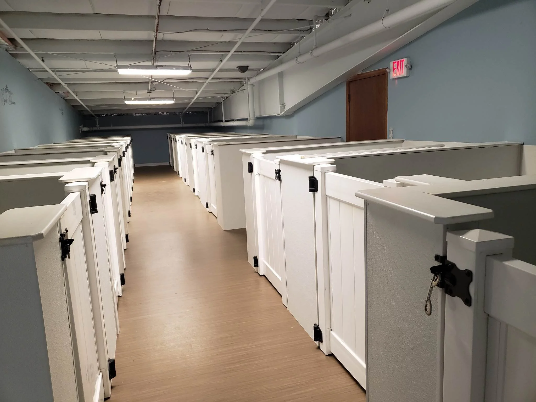 Facility — Paws In Play Norton Dog Day Care