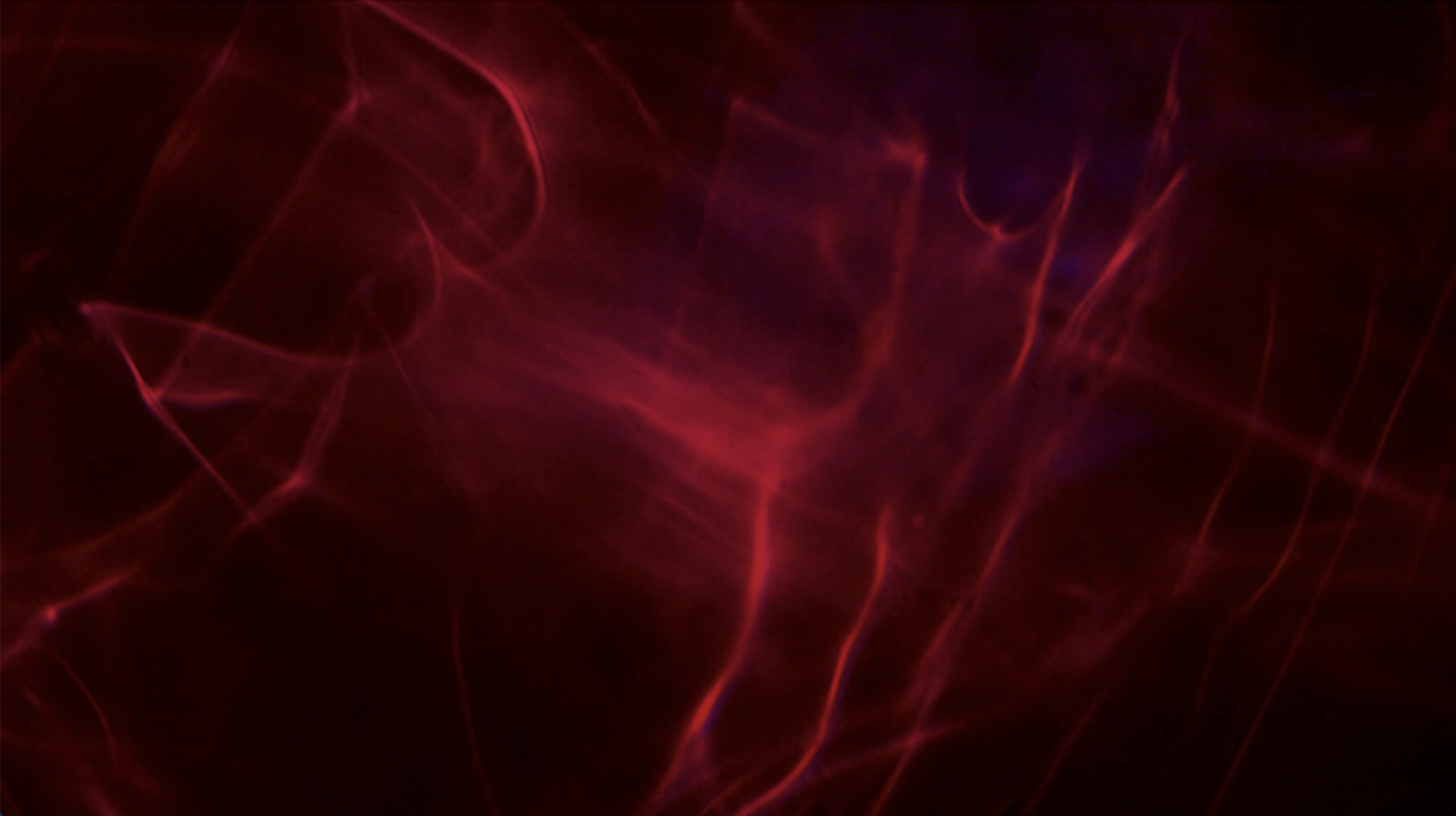 FILMS — MICHAEL PERIK