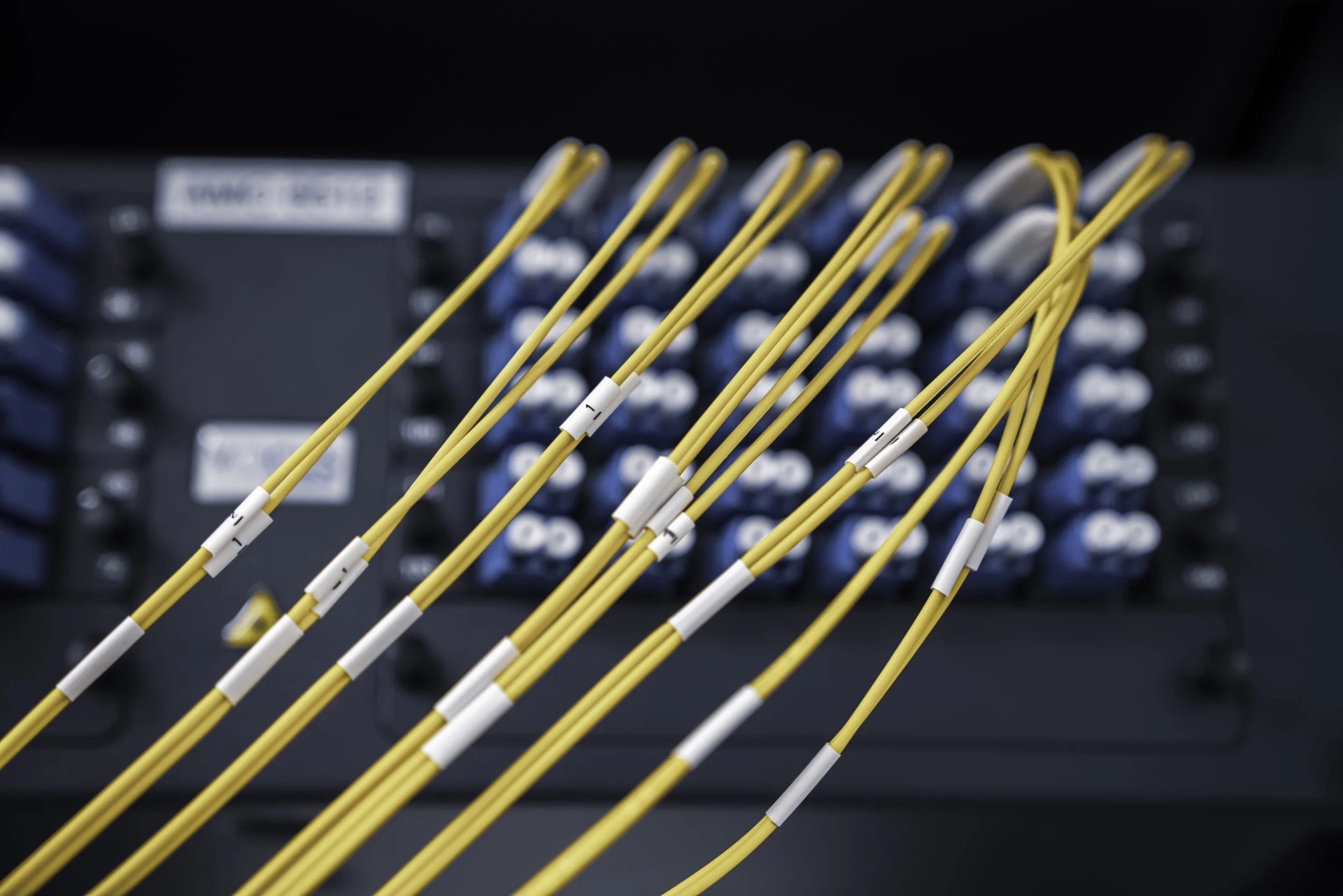 Services — DC Alliance