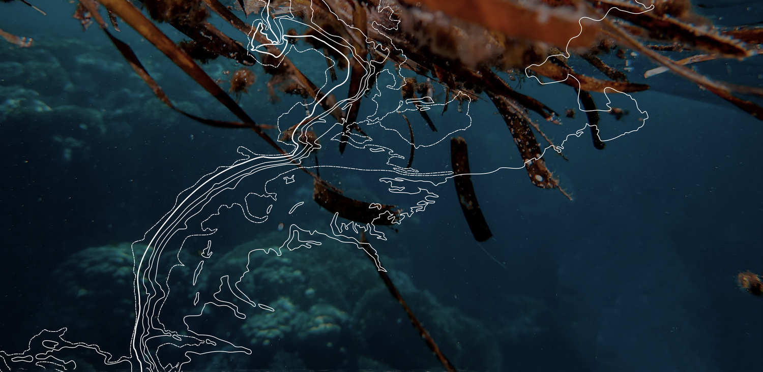 Barnacle Brothers Rum