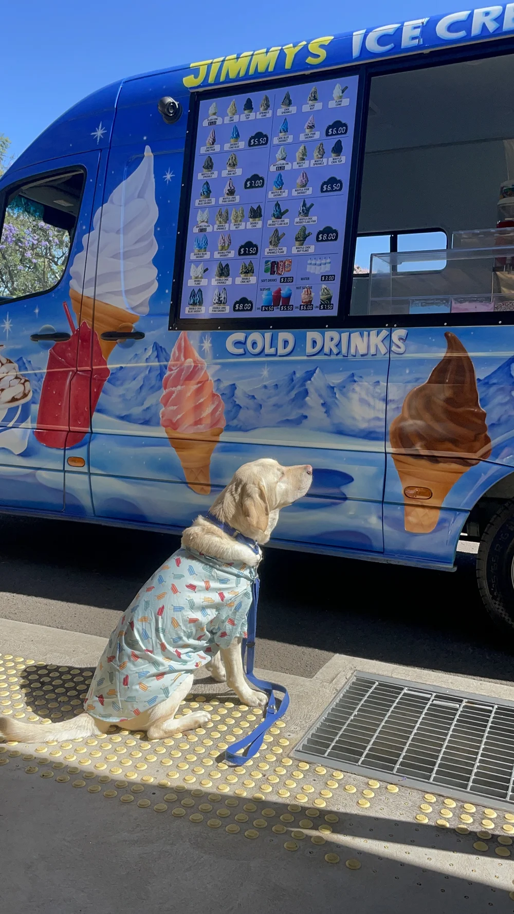 Delicious Ice Cream Creations — Jimmys Ice Cream Pty Ltd