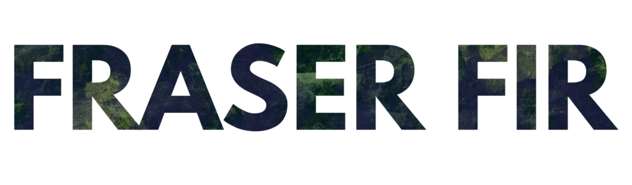 Fraser Fir — Mile High Tree Farm