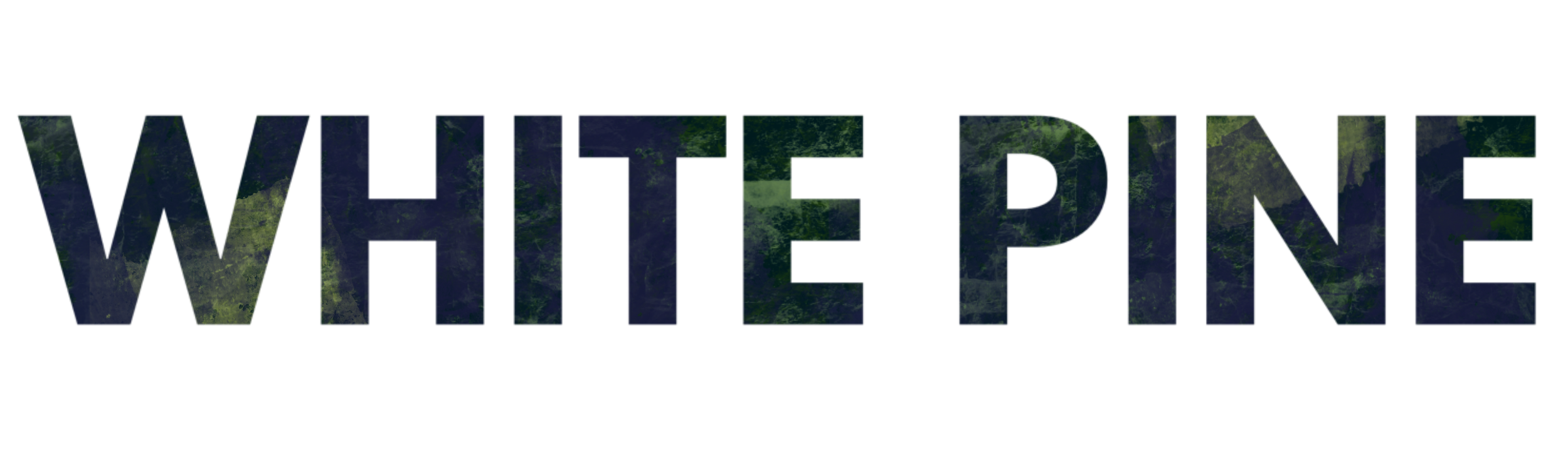 White Pine — Mile High Tree Farm