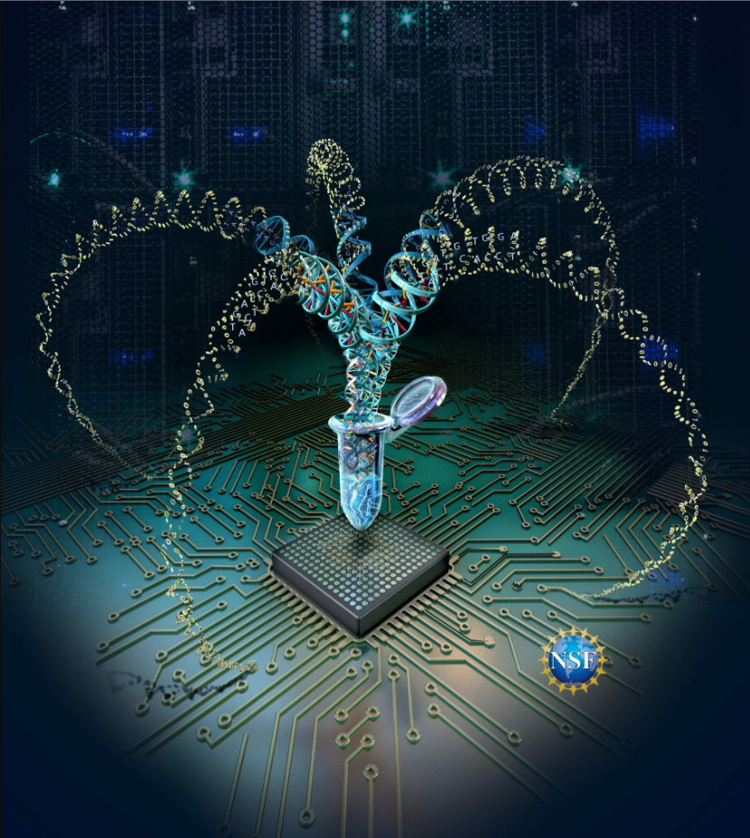 DNA for Digital Data Storage — ByCatarina