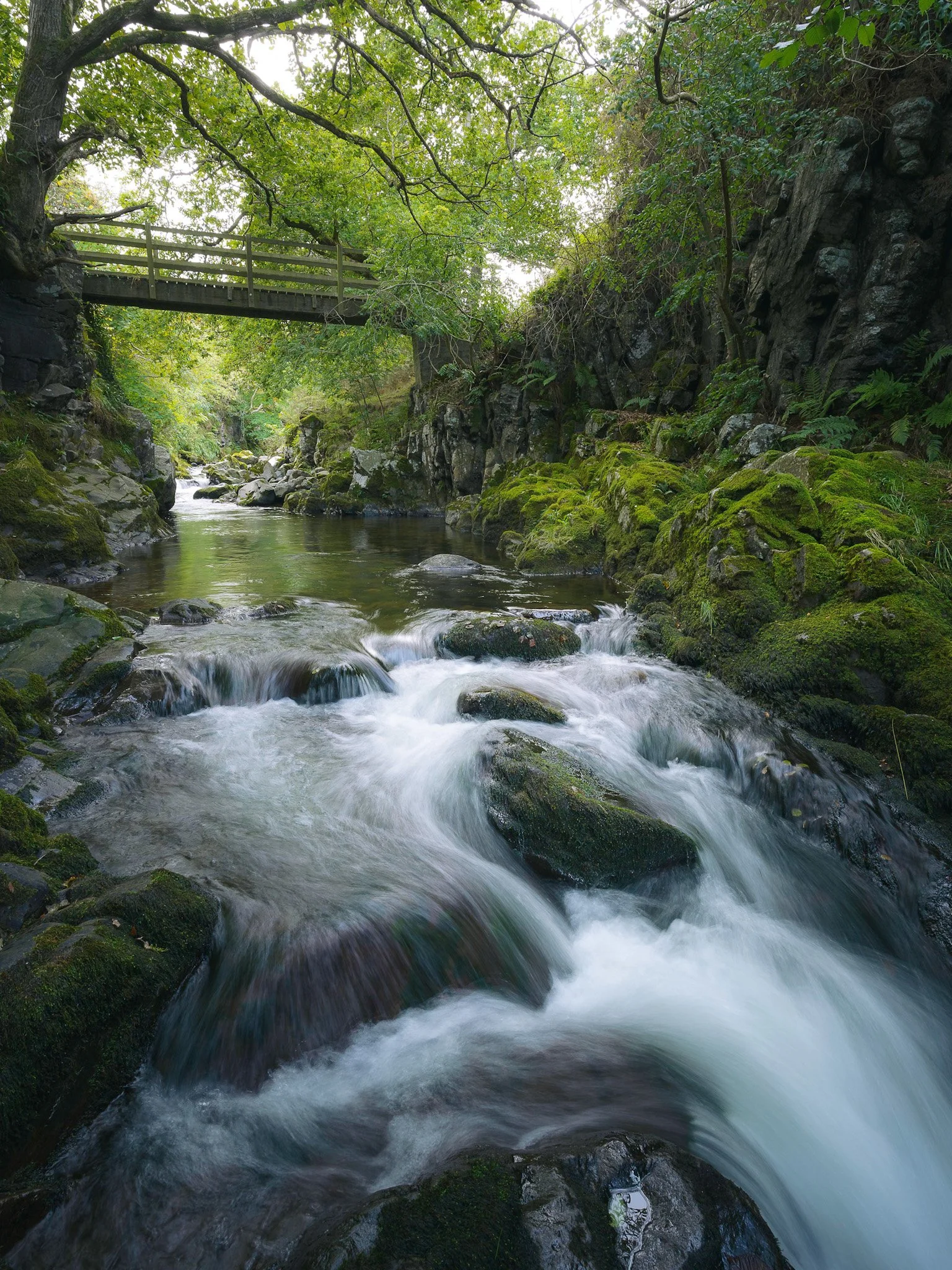 Jim Scott Photography, Northumberland