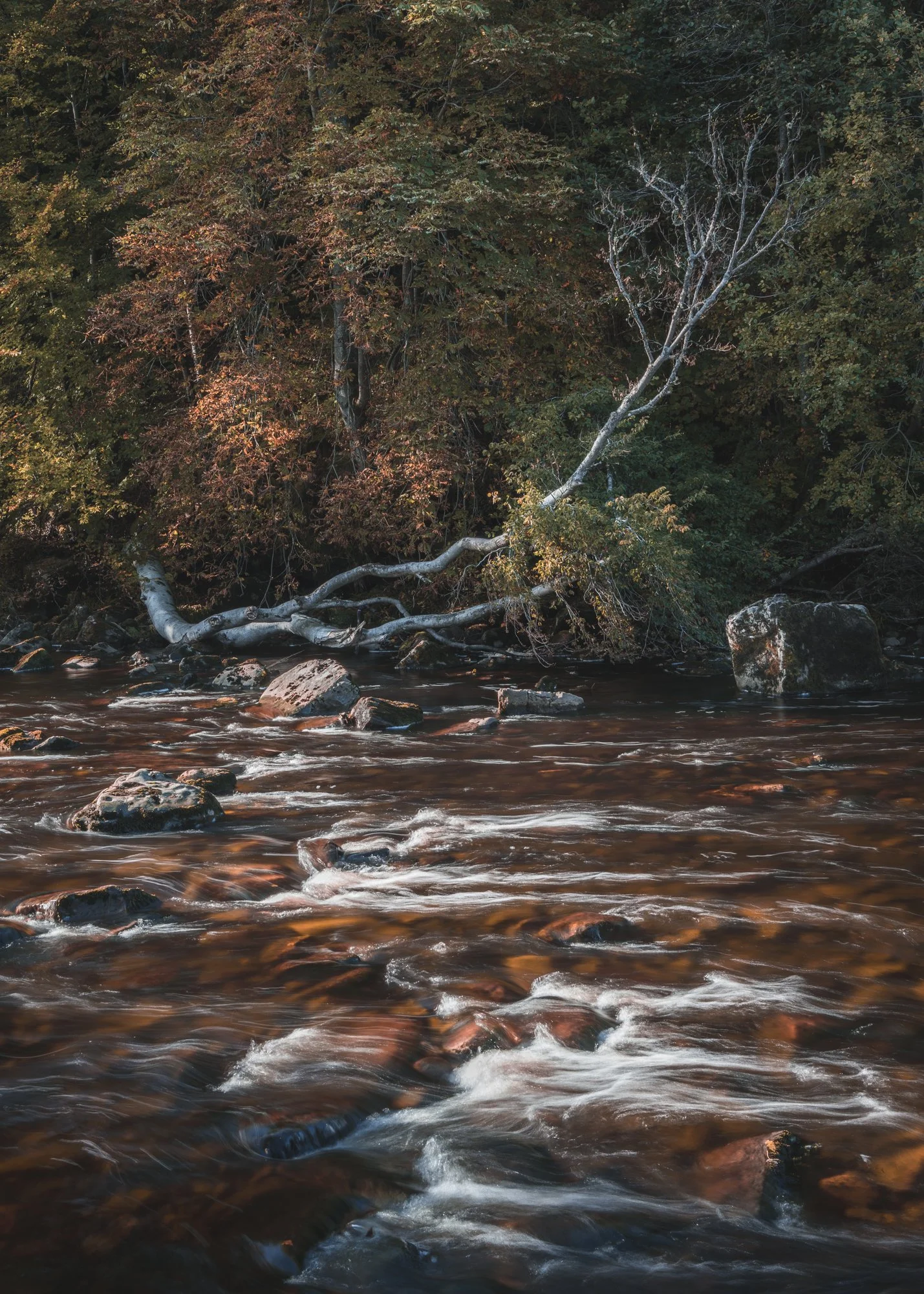 Fine art prints of Northumberland — JIM SCOTT