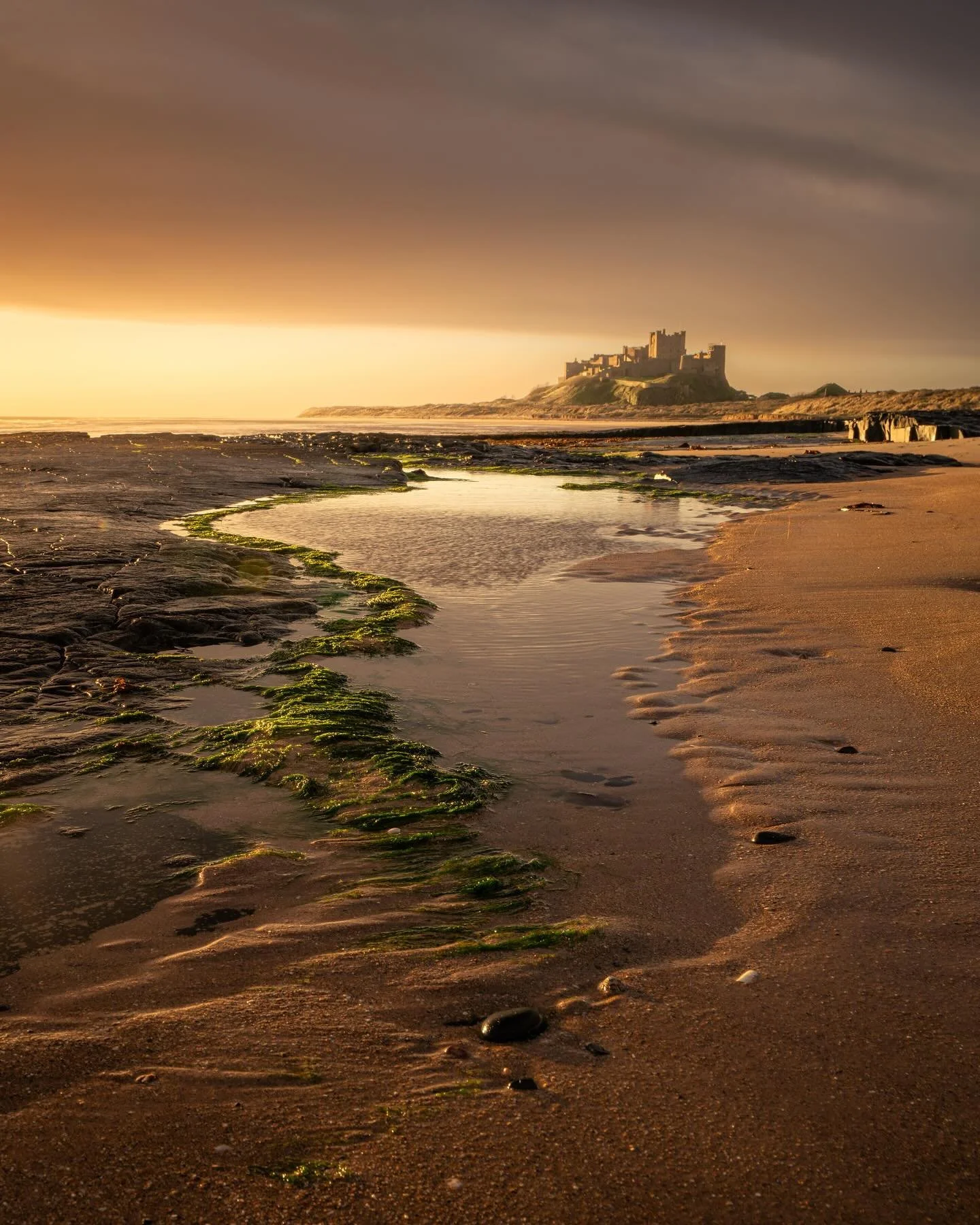 Jim Scott Photography, Northumberland