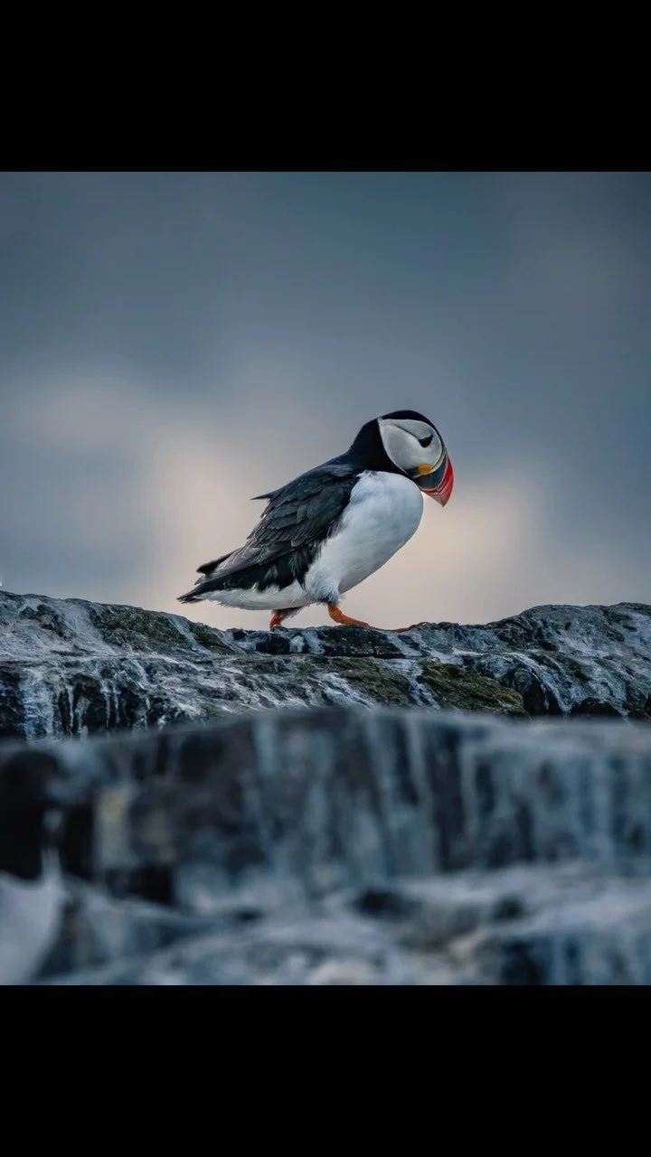 Jim Scott Photography, Northumberland