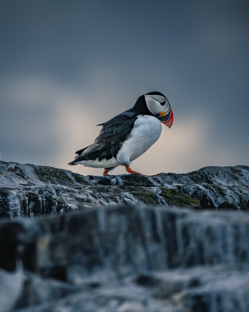 Jim Scott Photography - Portfolio — JIM SCOTT